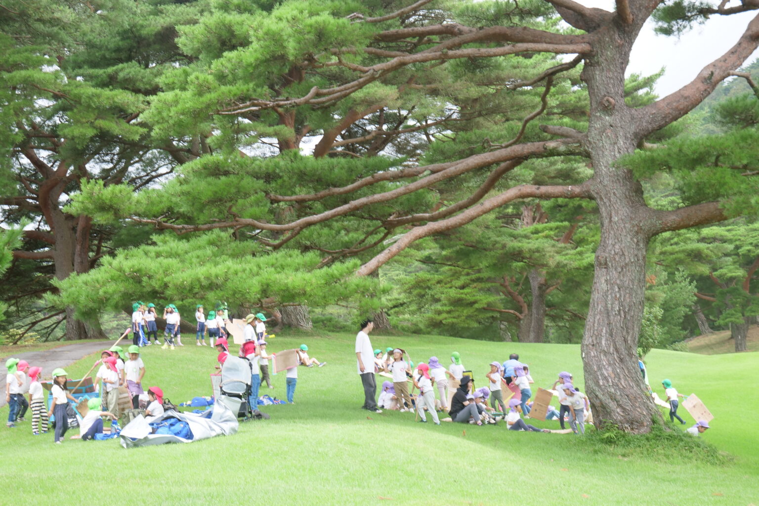 幼稚園児へコース開放 - 公益事業 - 芦屋カンツリー倶楽部