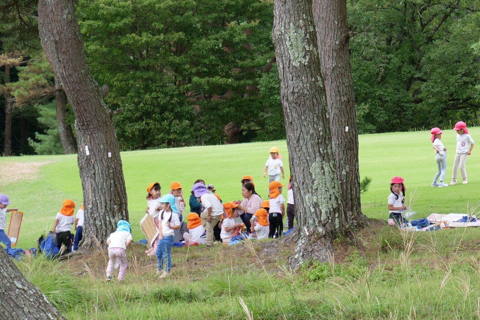幼稚園児へのコース開放 - 公益事業 - 芦屋カンツリー倶楽部